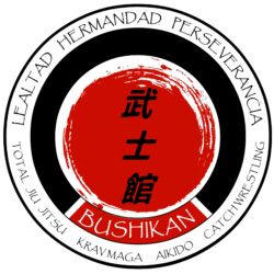 BUSHIKAN MÉXICO – Hermandad de artes marciales: krav maga, jiu jitsu ...
